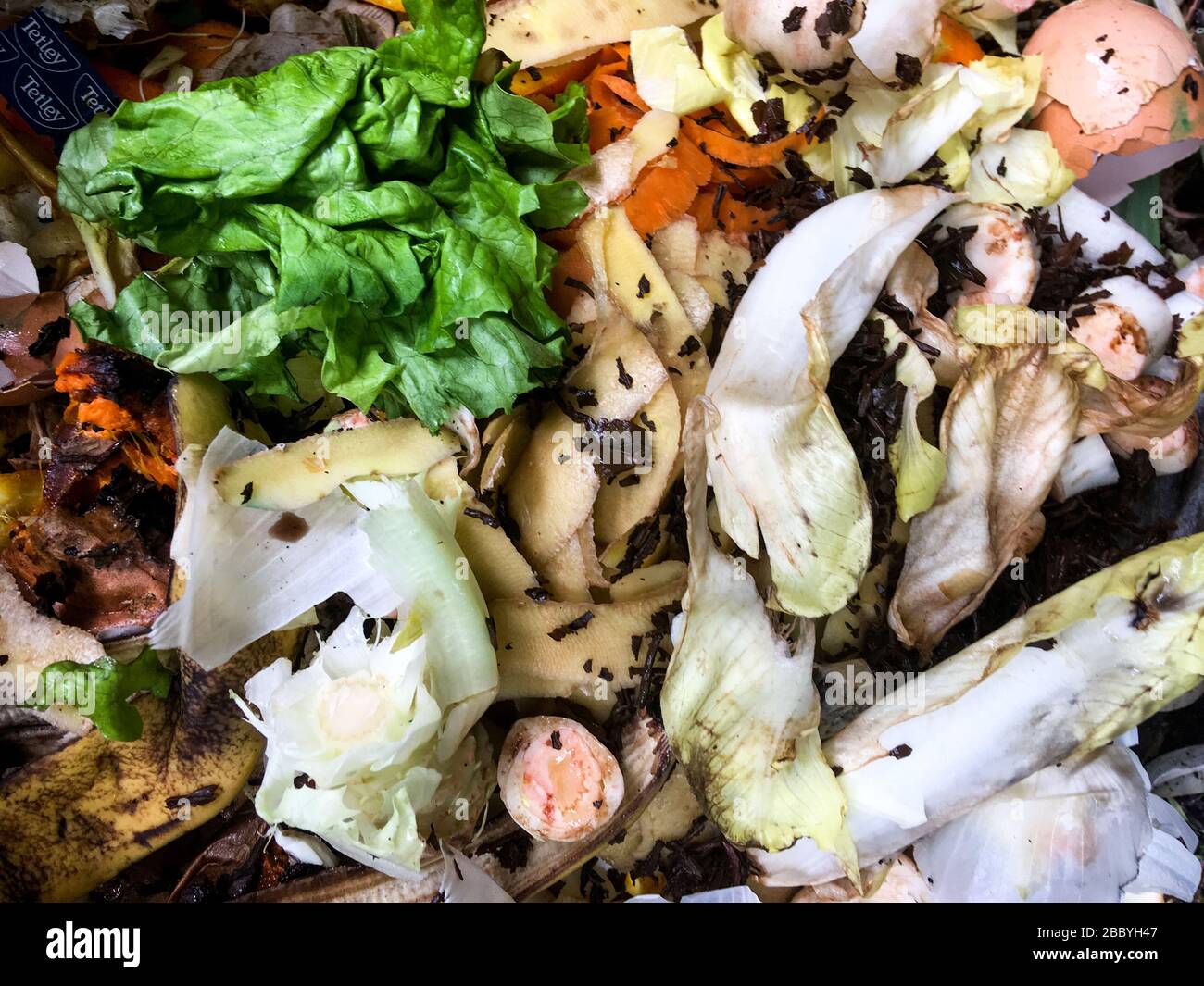 Decaying vegetables hi-res stock photography and images - Alamy