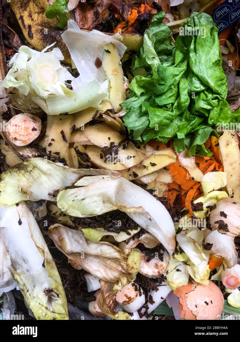 Fruits and vegetables decaying in a compost container, Lyon, France ...