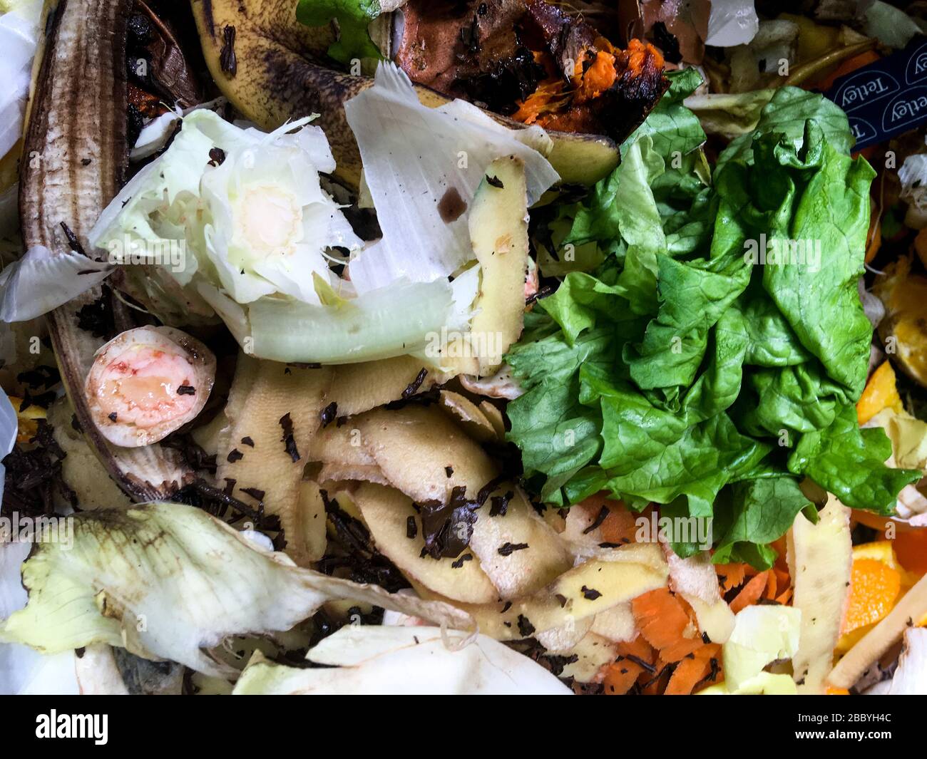 Fruits and vegetables decaying in a compost container, Lyon, France ...