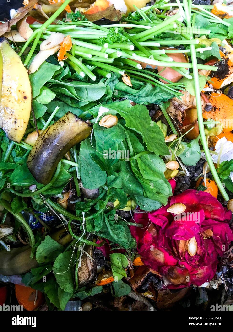 Fruits and vegetables decaying in a compost container, Lyon, France ...