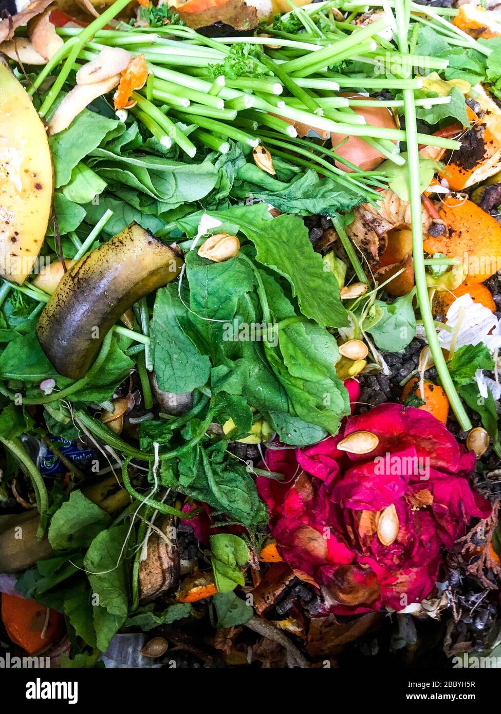 Fruits and vegetables decaying in a compost container, Lyon, France ...