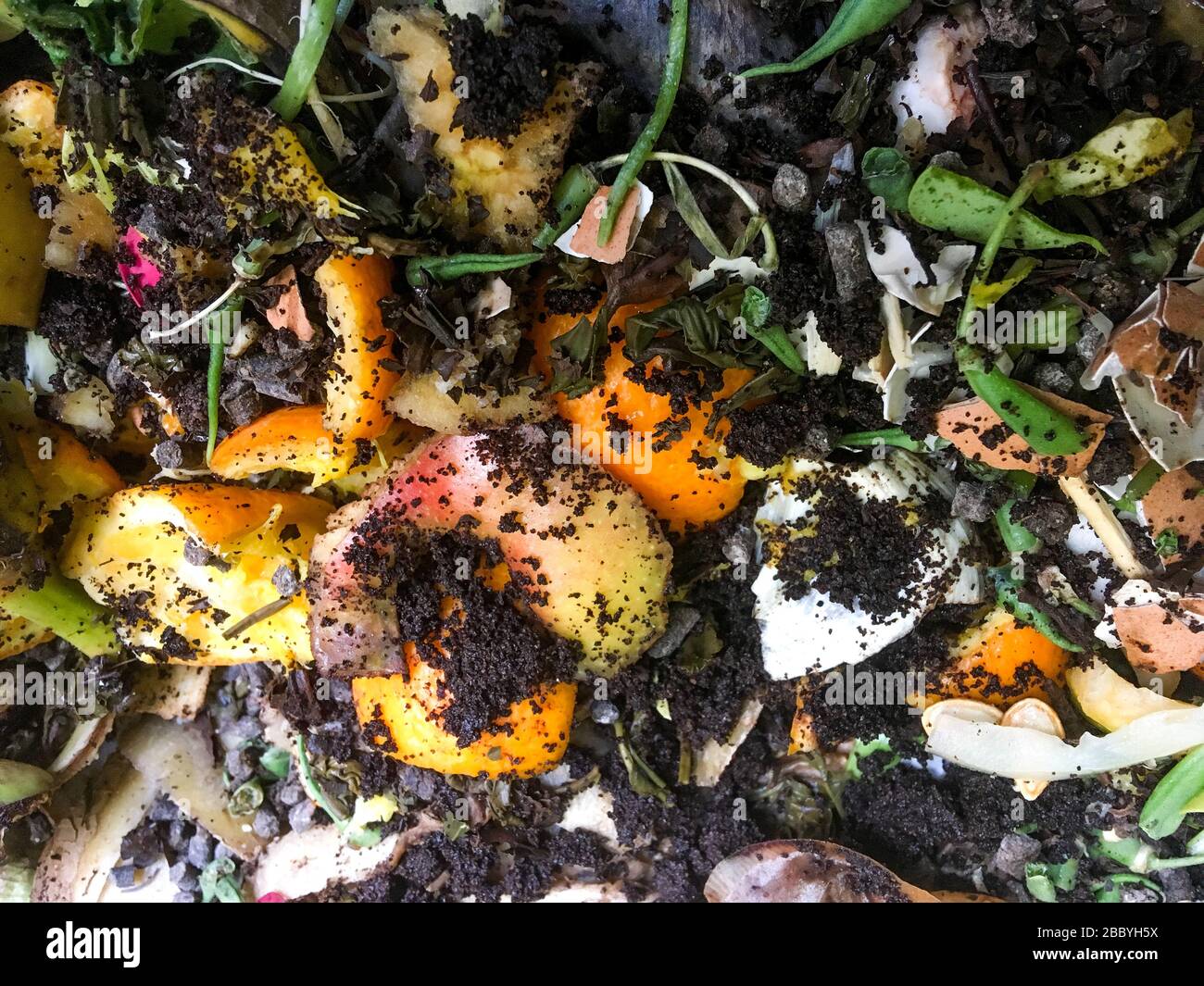 Fruits and vegetables decaying in a compost container, Lyon, France ...