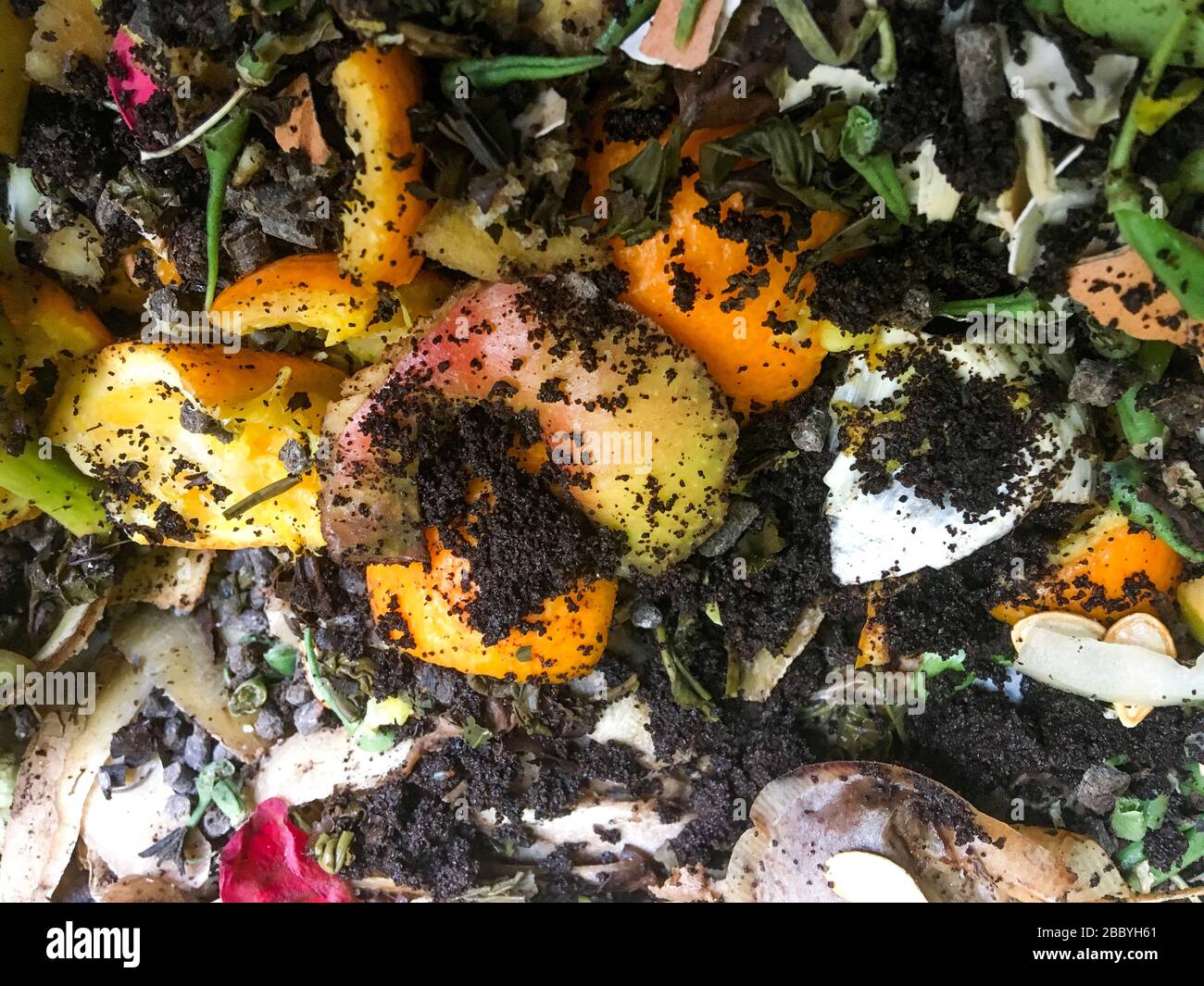 Fruits and vegetables decaying in a compost container, Lyon, France ...