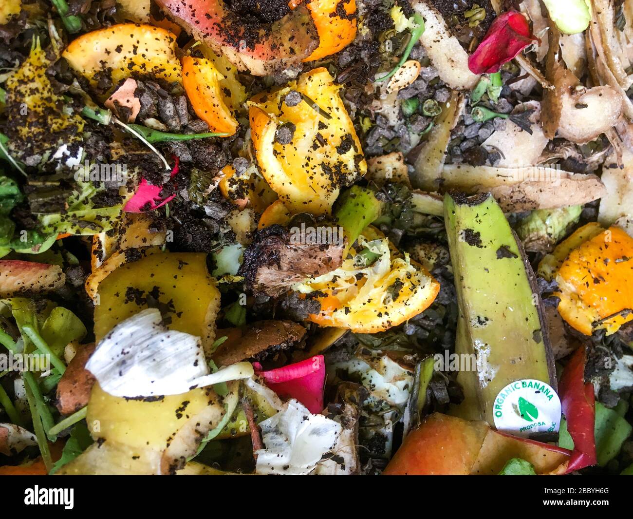 Fruits and vegetables decaying in a compost container, Lyon, France ...