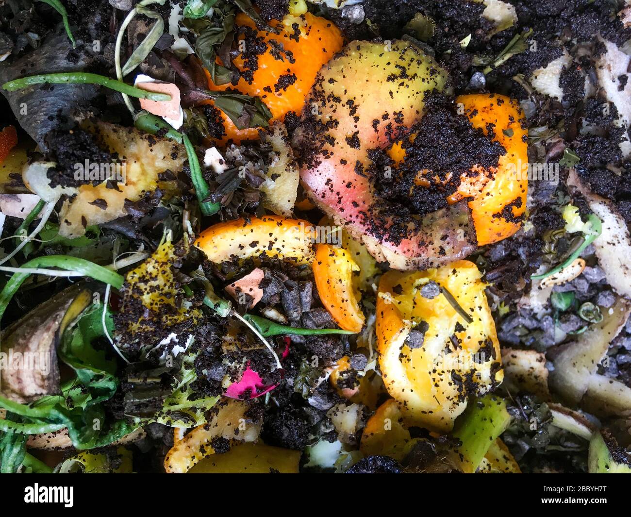 Fruits and vegetables decaying in a compost container, Lyon, France ...