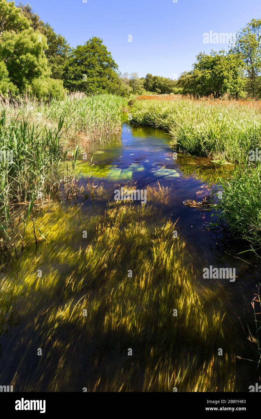 Down by the river composition hi-res stock photography and images - Alamy