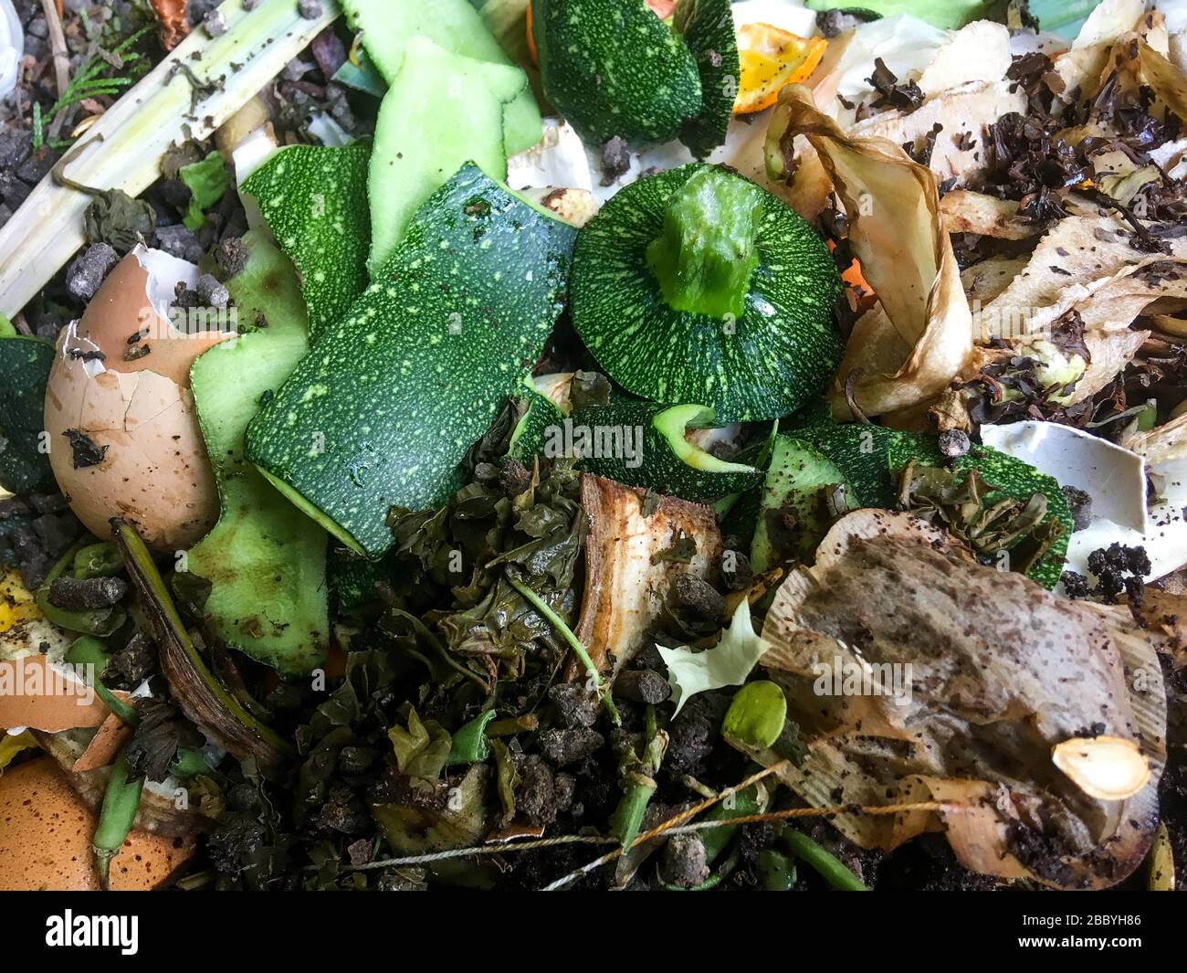 Fruits and vegetables decaying in a compost container, Lyon, France ...