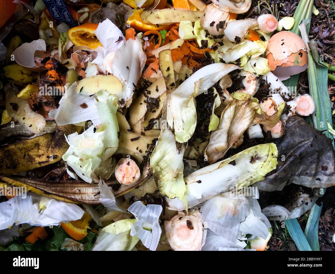Fruits and vegetables decaying in a compost container, Lyon, France ...
