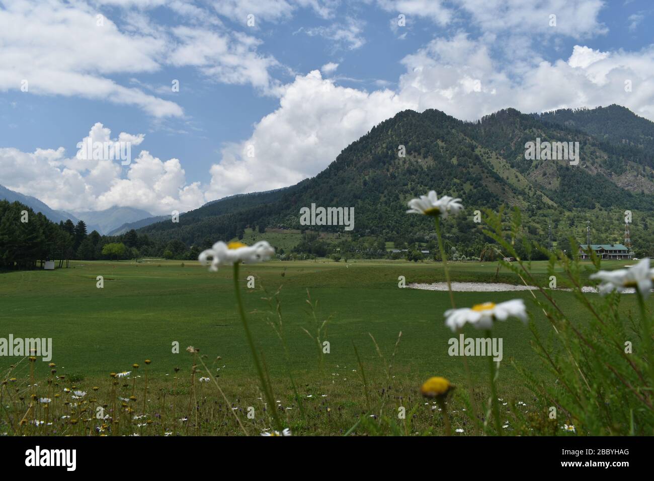 Beautiful Golf Course with Natural scenery at Pahalgam Kashmir,India ...
