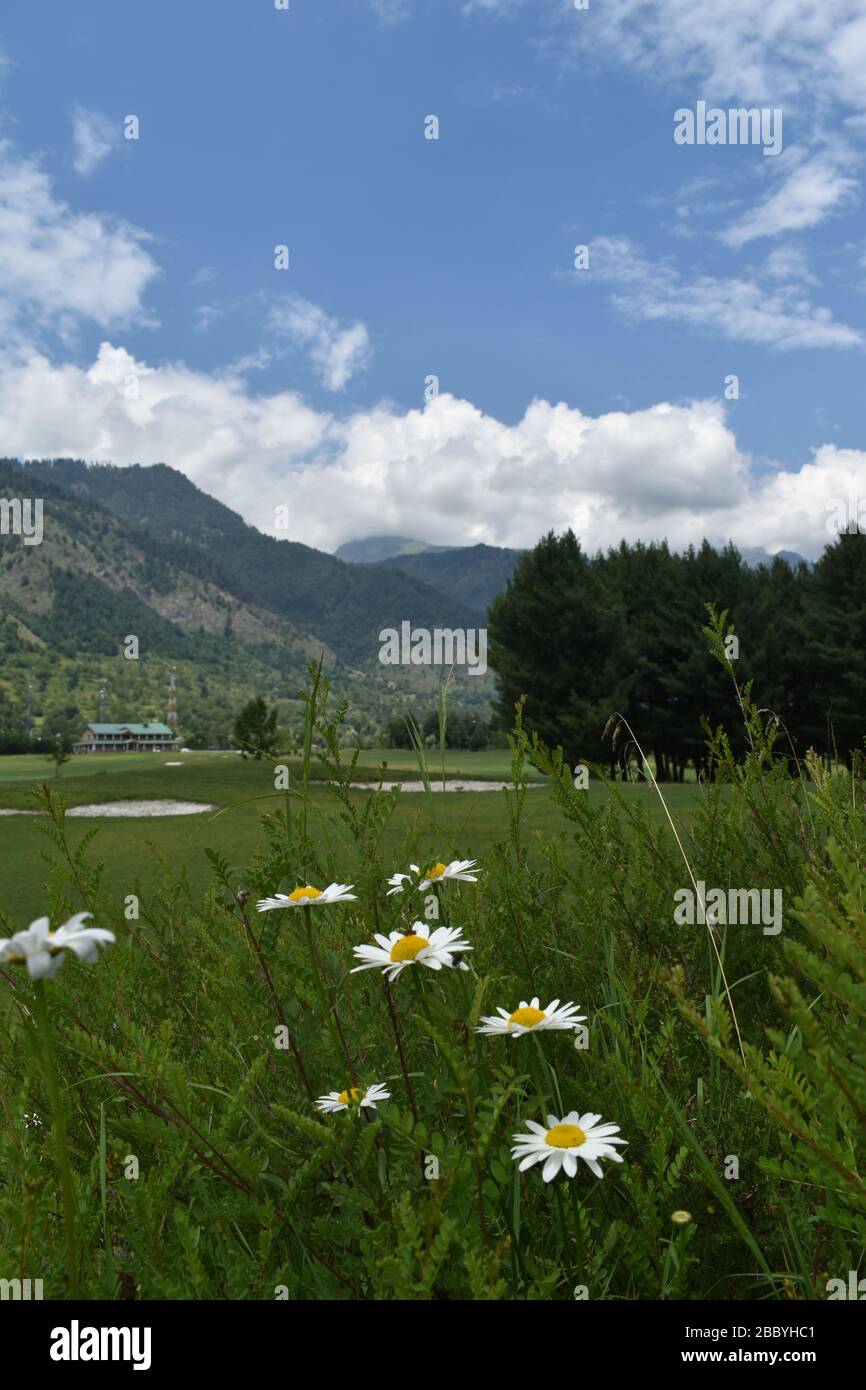 Beautiful Golf Course with Natural scenery at Pahalgam Kashmir,India ...