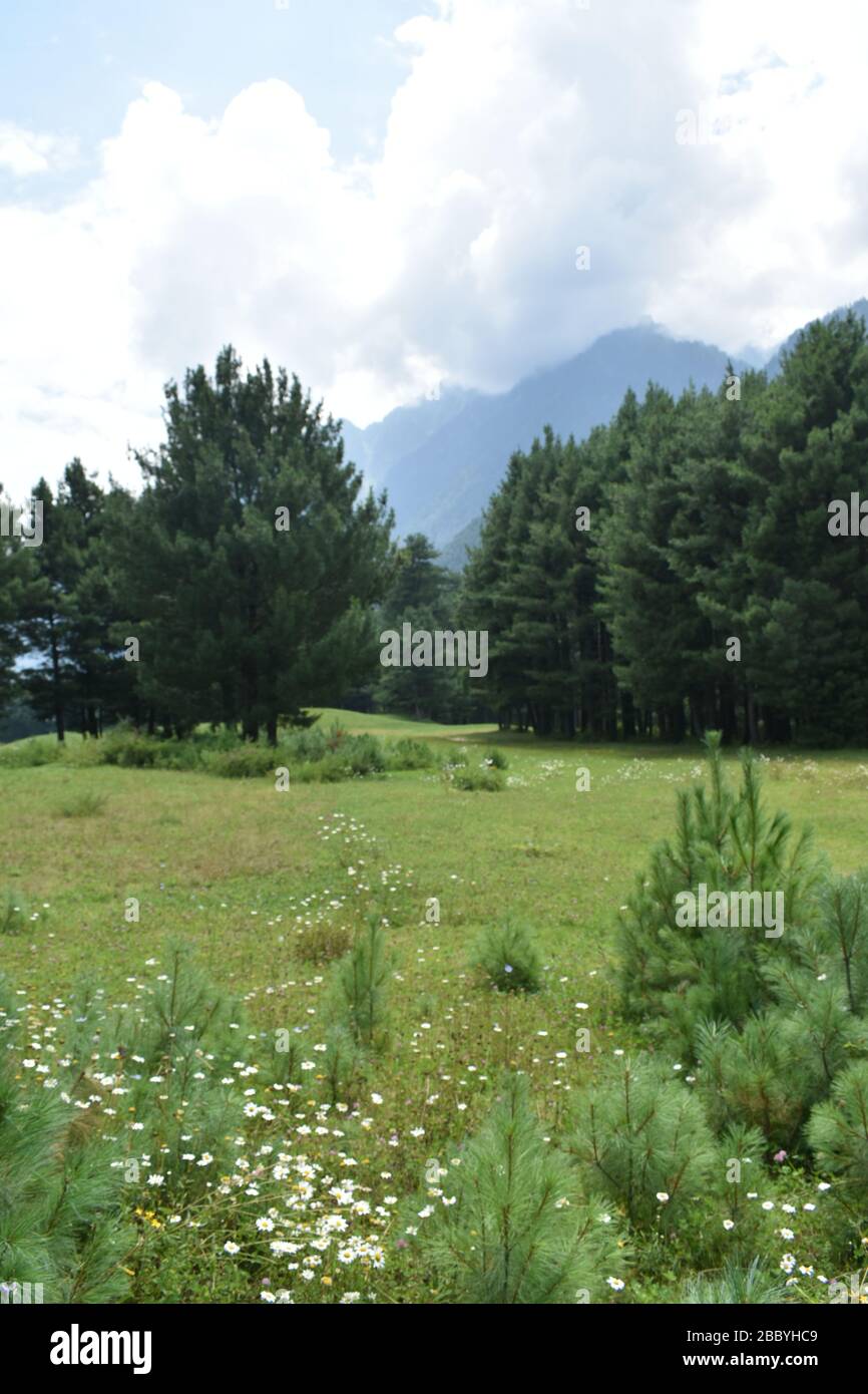 Beautiful Golf Course with Natural scenery at Pahalgam Kashmir,India ...