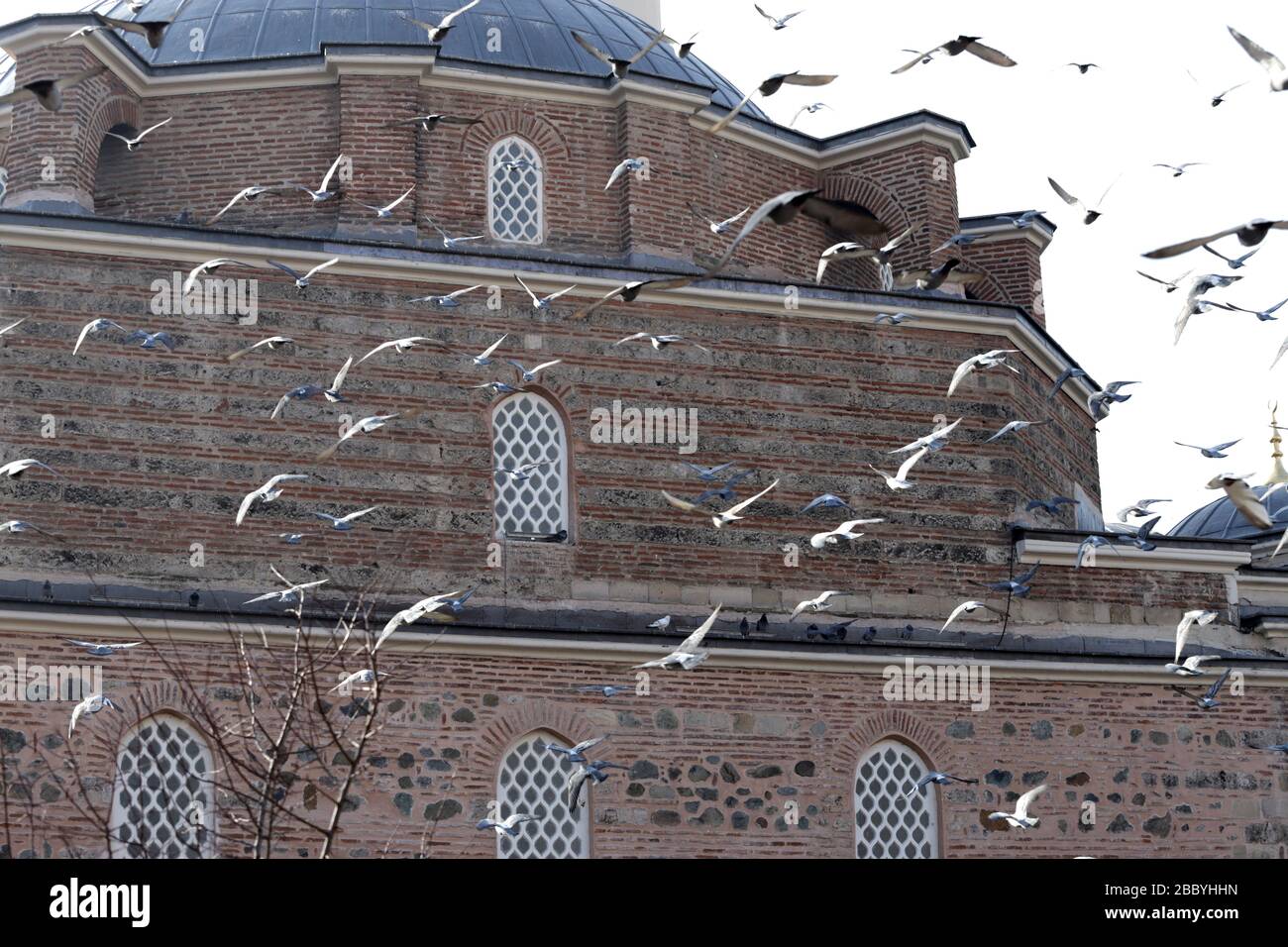 A mosque surrounded by flying pigeons Stock Photo - Alamy