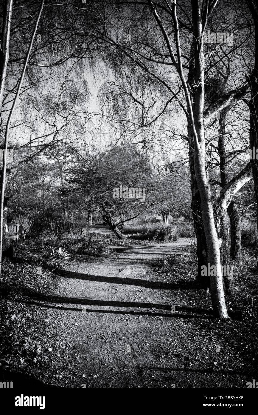 Gravel path naturalistic hi-res stock photography and images - Alamy