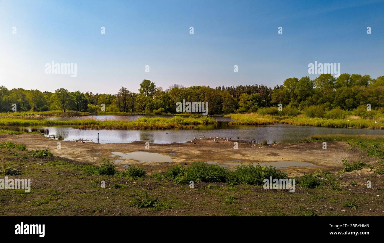 view across at lake Stock Photo - Alamy