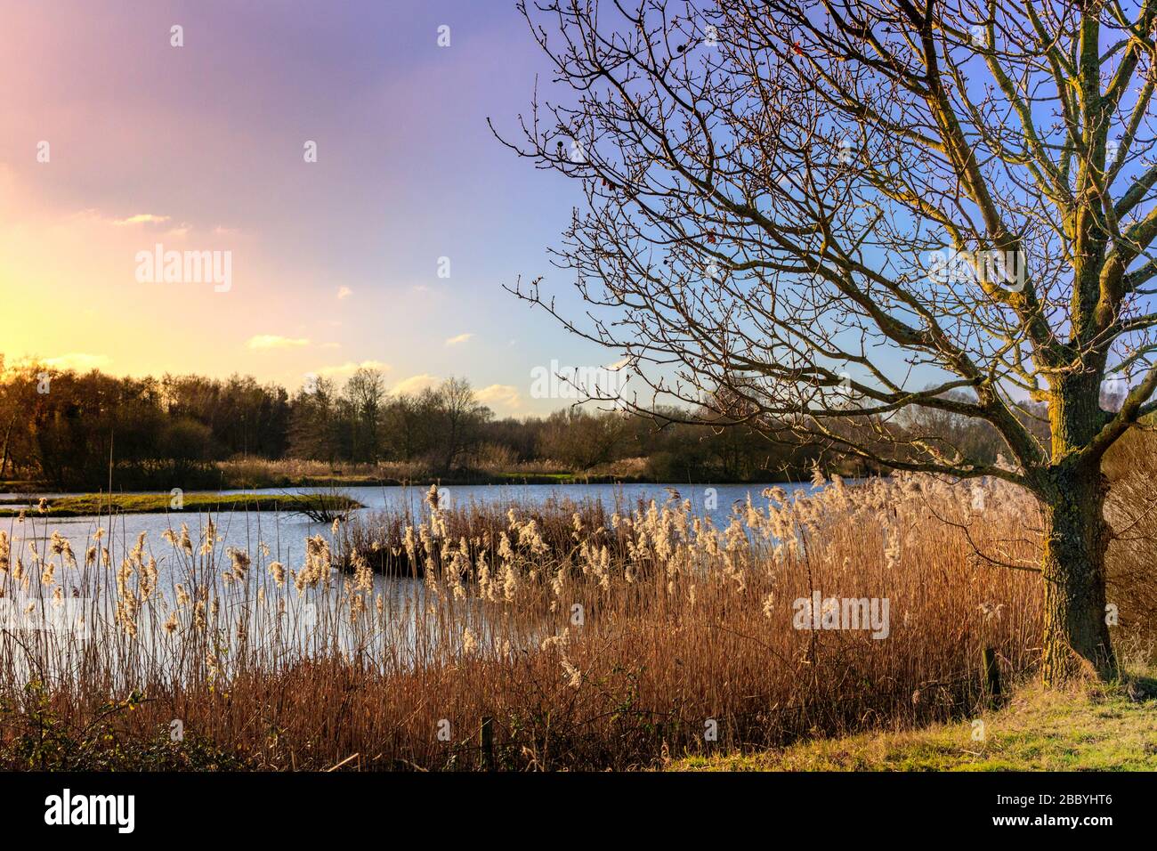 view across at lake Stock Photo - Alamy