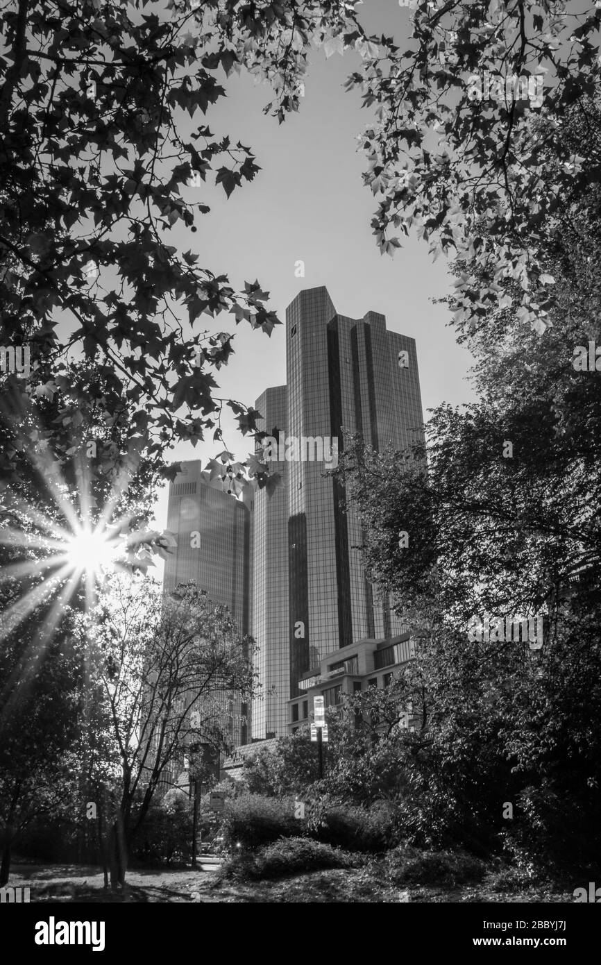 Sunlight company Black and White Stock Photos & Images - Alamy