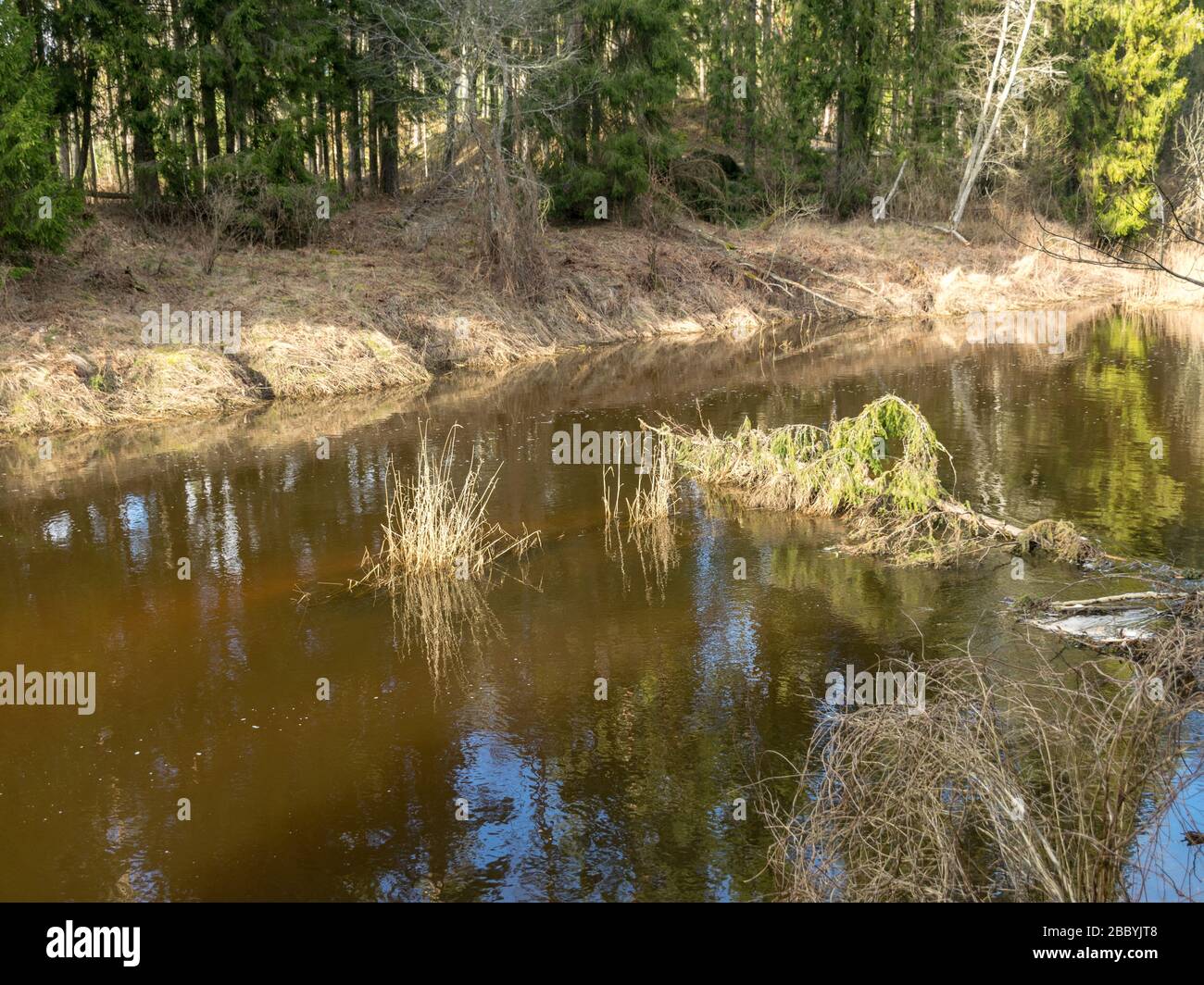 river view in early spring, dry grass and old reeds on river banks ...