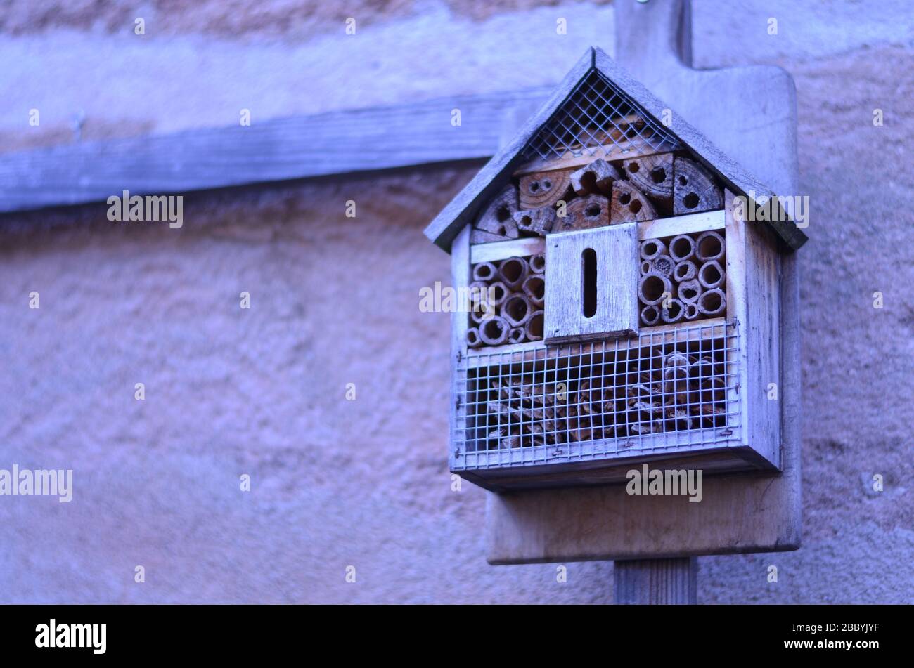 Handmade insect house hi-res stock photography and images - Alamy
