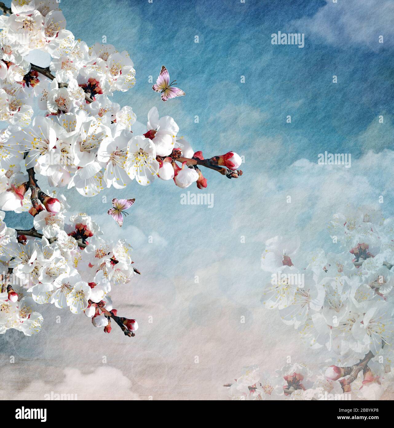 Springtime rebirth backdrop Stock Photo - Alamy