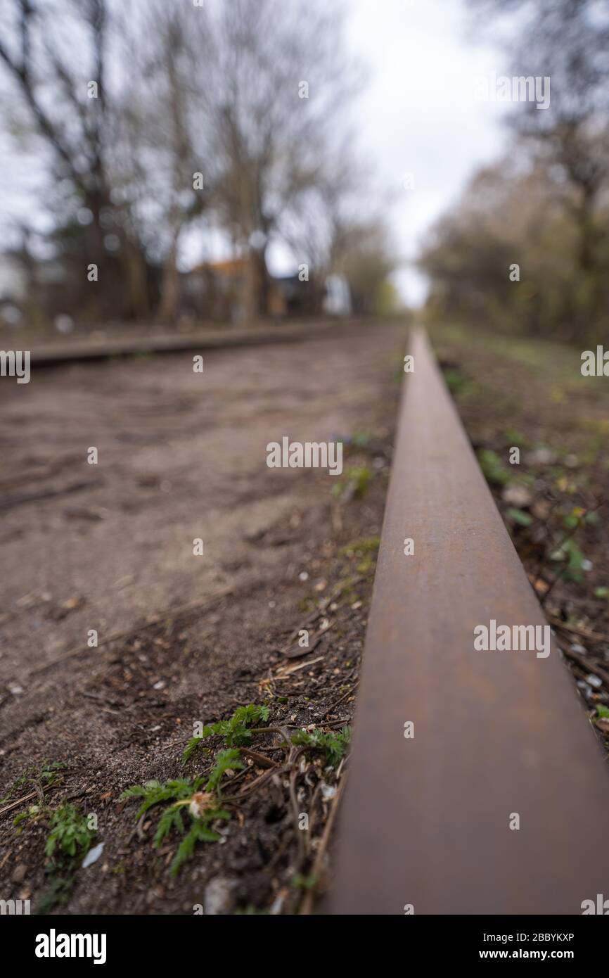 Train track in denmark. closeup rust on the tracks Stock Photo - Alamy