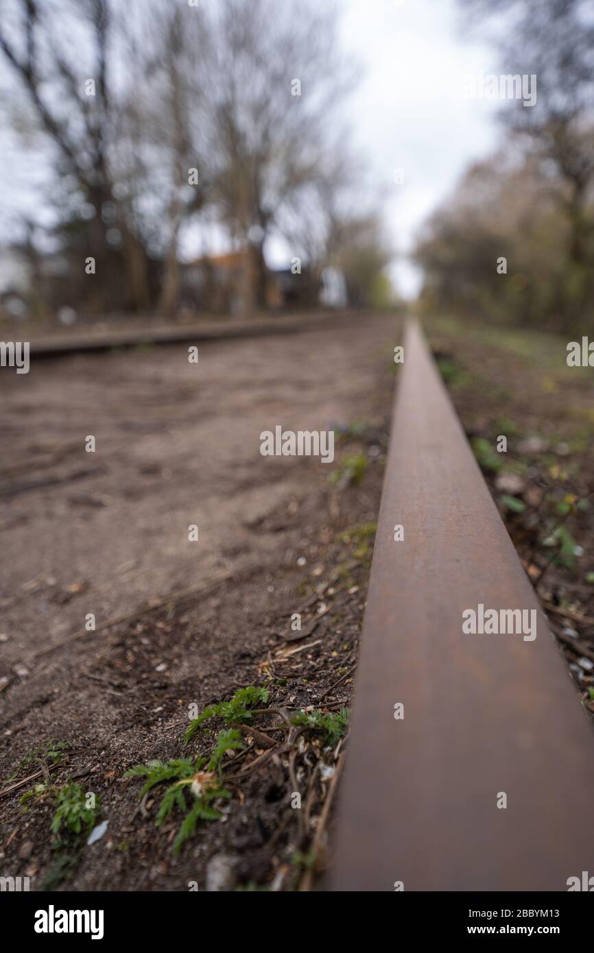 Train track in denmark. closeup rust on the tracks Stock Photo - Alamy