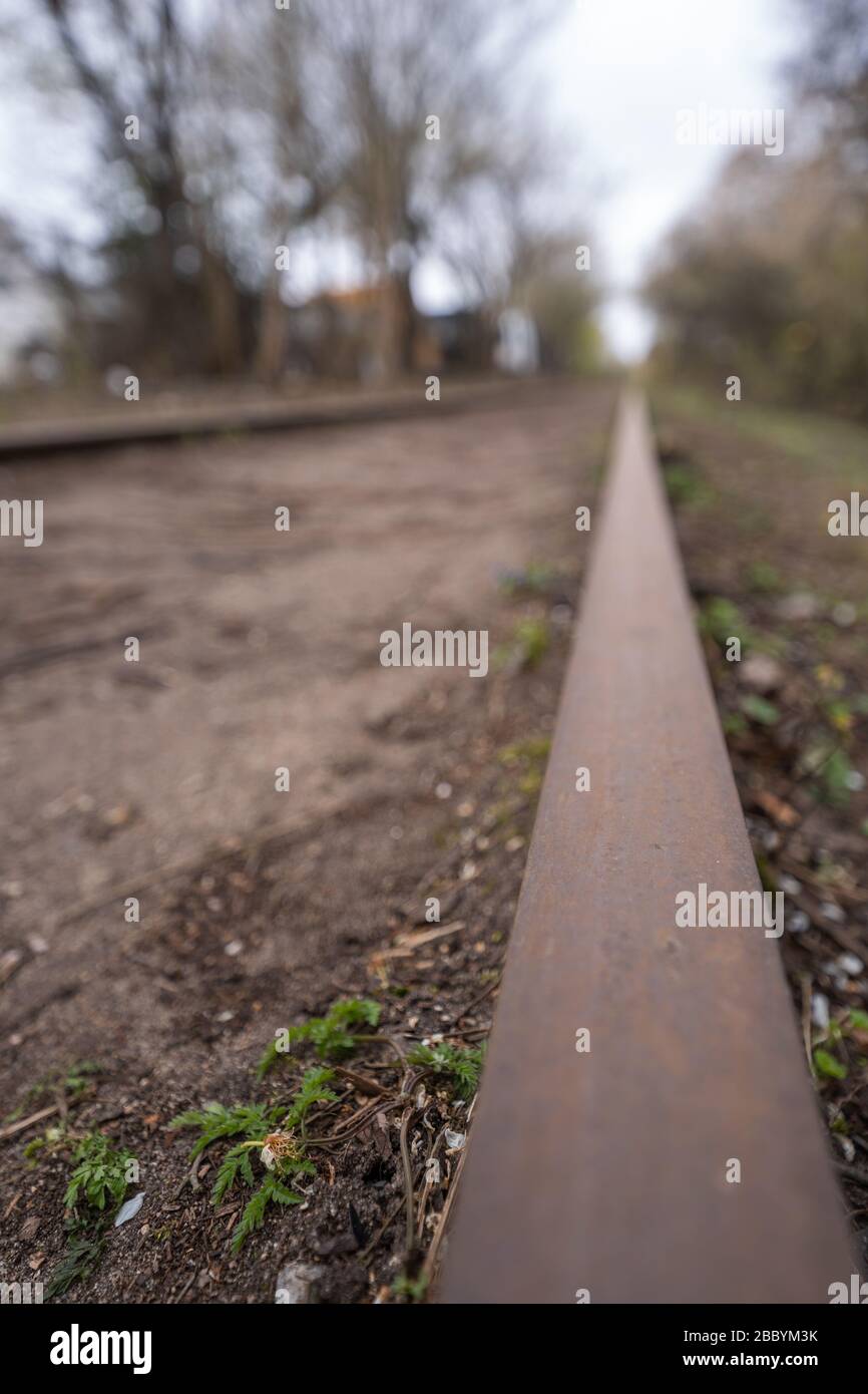 Train track in denmark. closeup rust on the tracks Stock Photo - Alamy