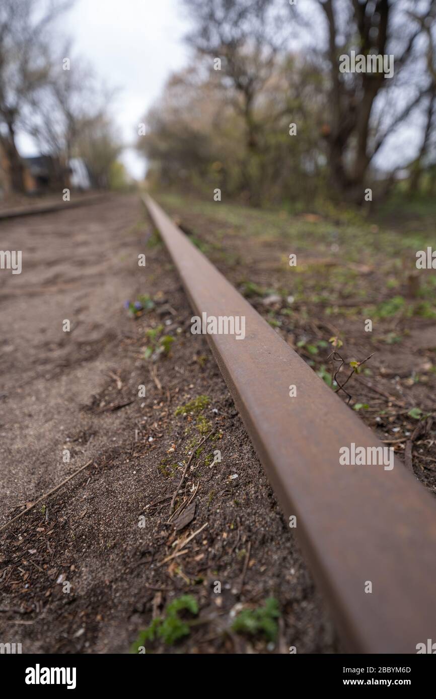 Train track in denmark. closeup rust on the tracks Stock Photo - Alamy