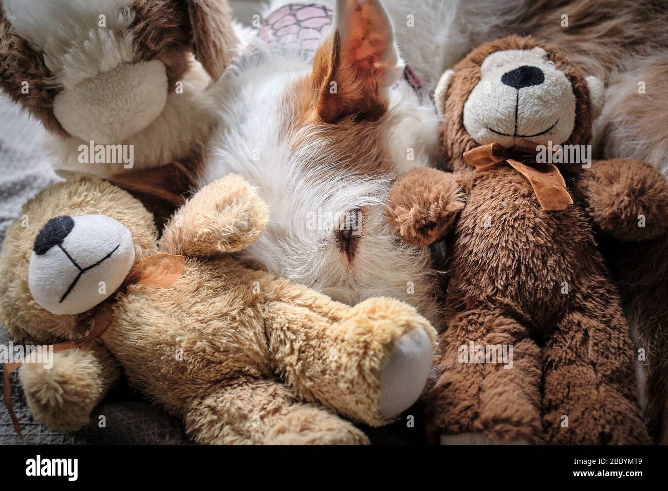 All rights reserved Stock Photo - Alamy