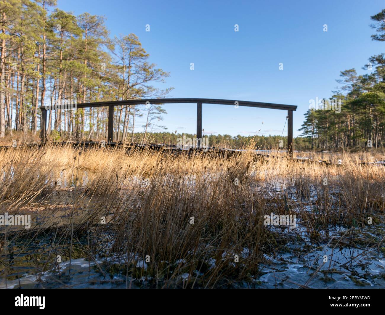 beautiful bog landscape, curved wooden bridge over ditch, early spring ...