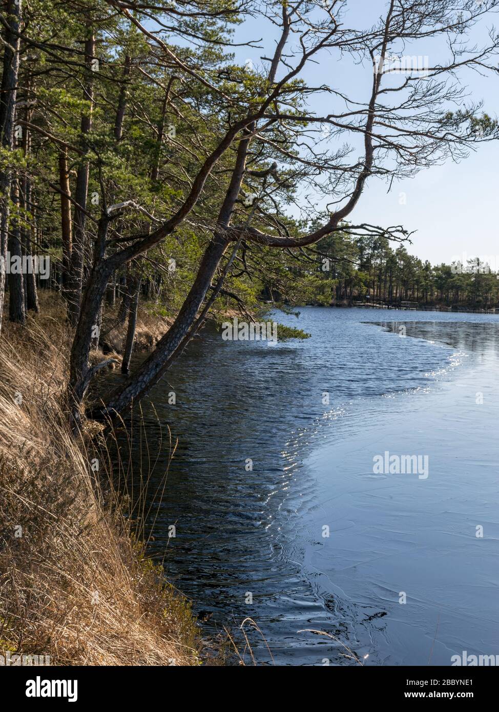 Purezers hi-res stock photography and images - Alamy