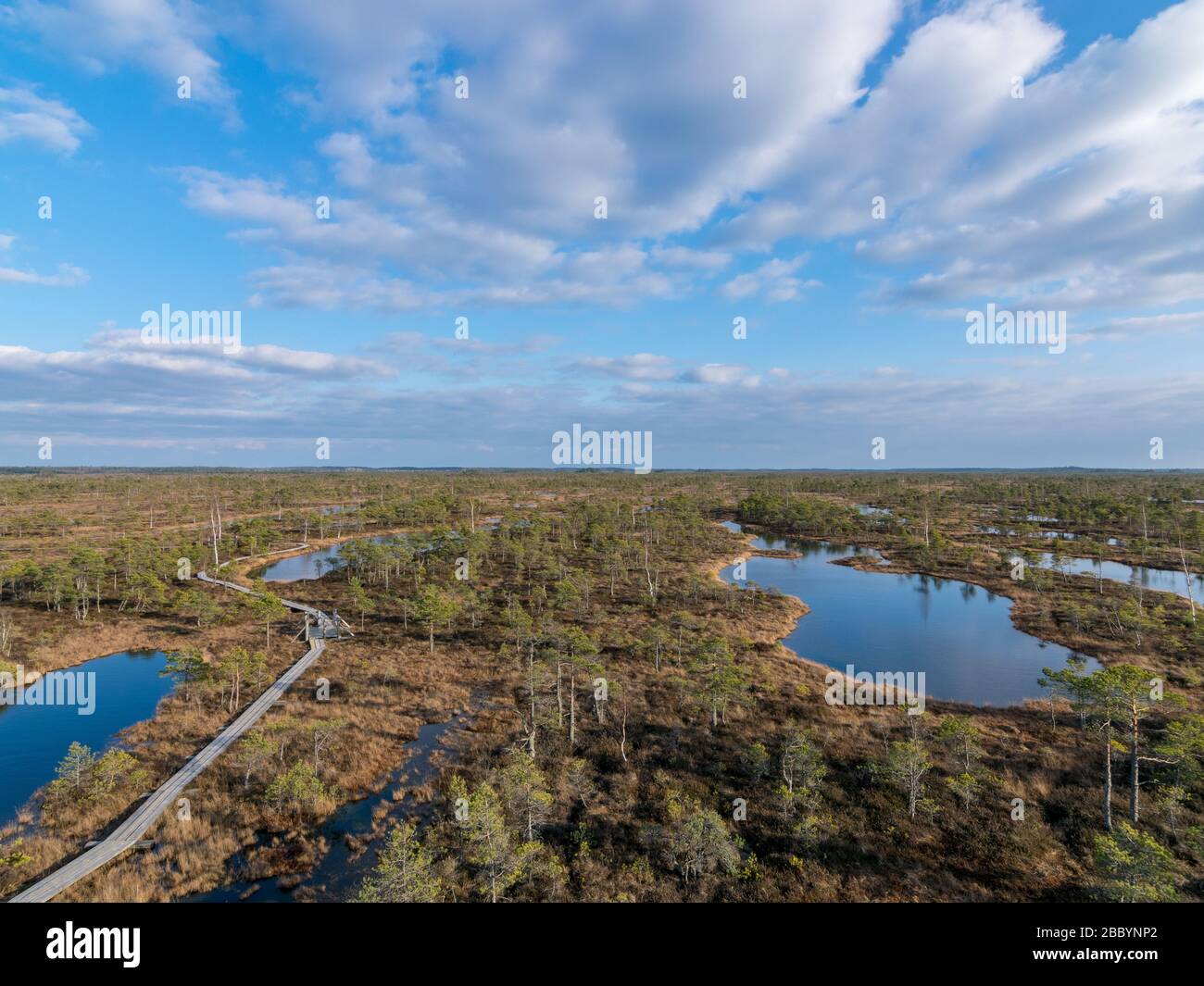 A scenic view from the top of the Kemeri bog, moorland landscape, early ...
