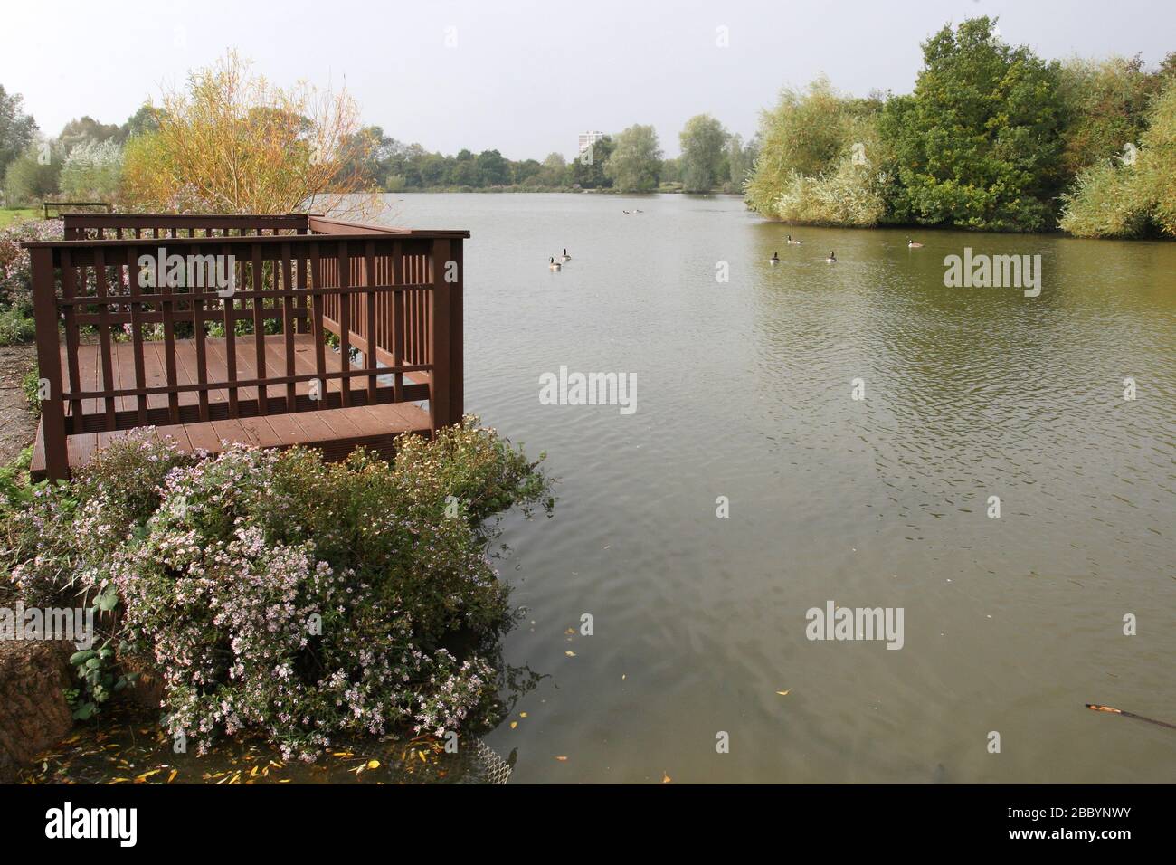 Hainault country park hi-res stock photography and images - Alamy