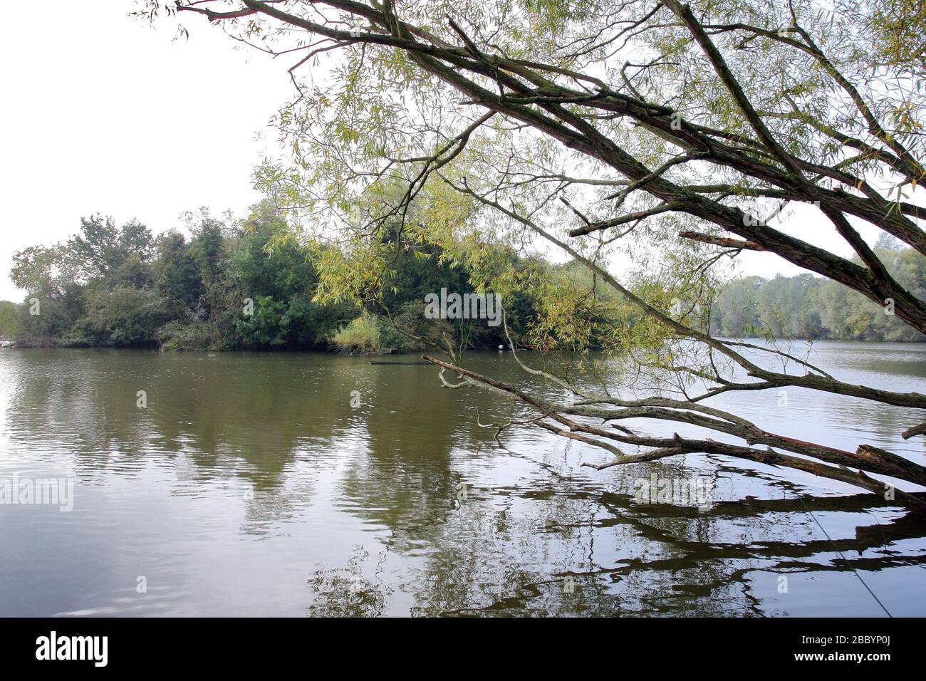 Hainault country park hi-res stock photography and images - Alamy