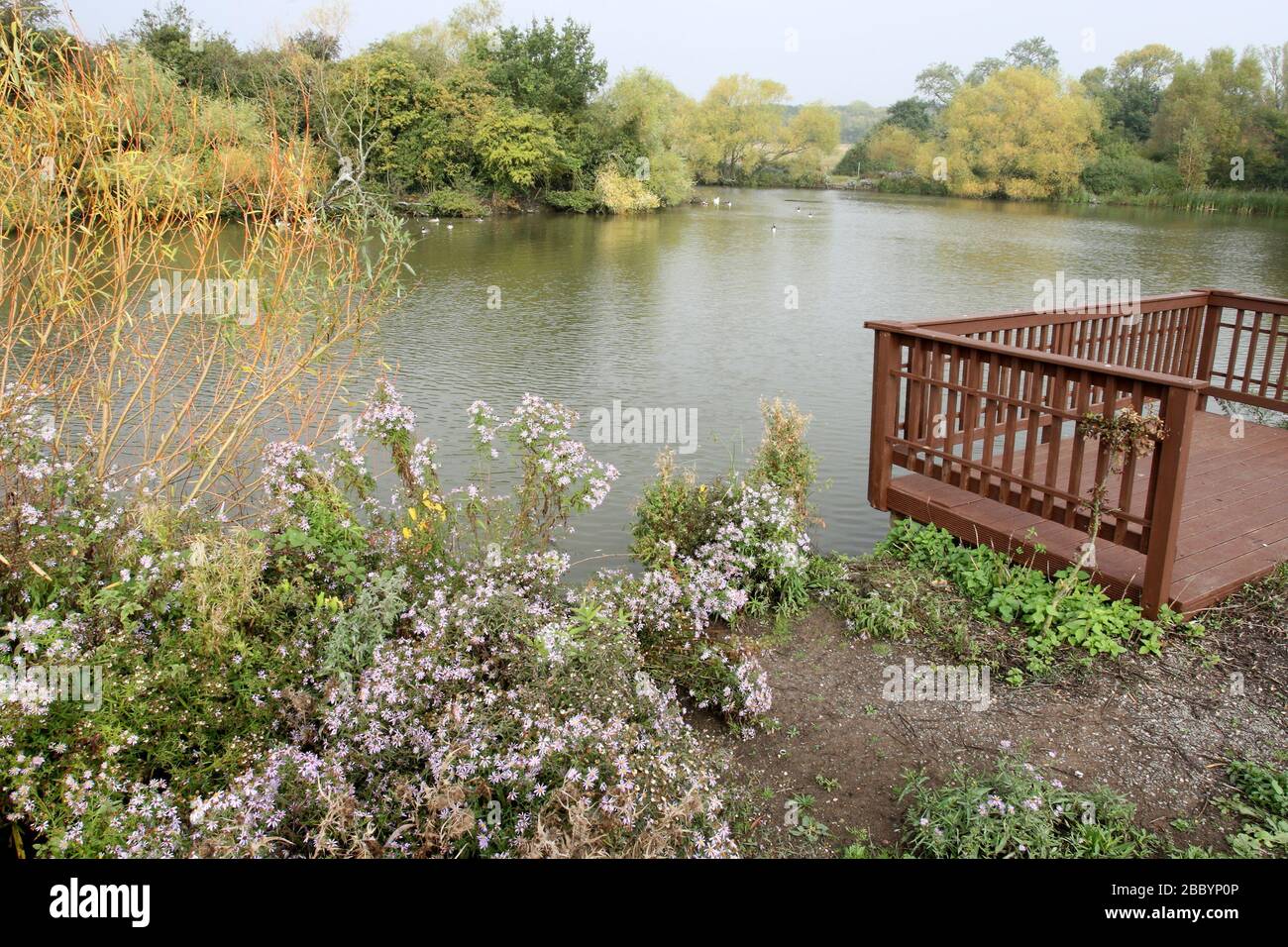 General view of the lake. Hainault Forest Country Park, Redbridge Stock ...