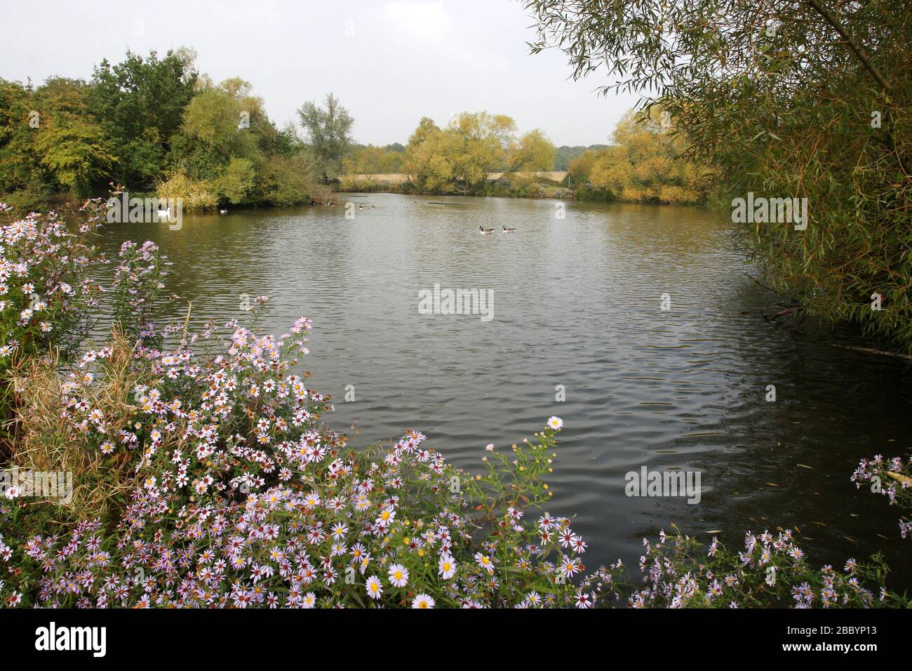 Hainault Country Park High Resolution Stock Photography and Images - Alamy