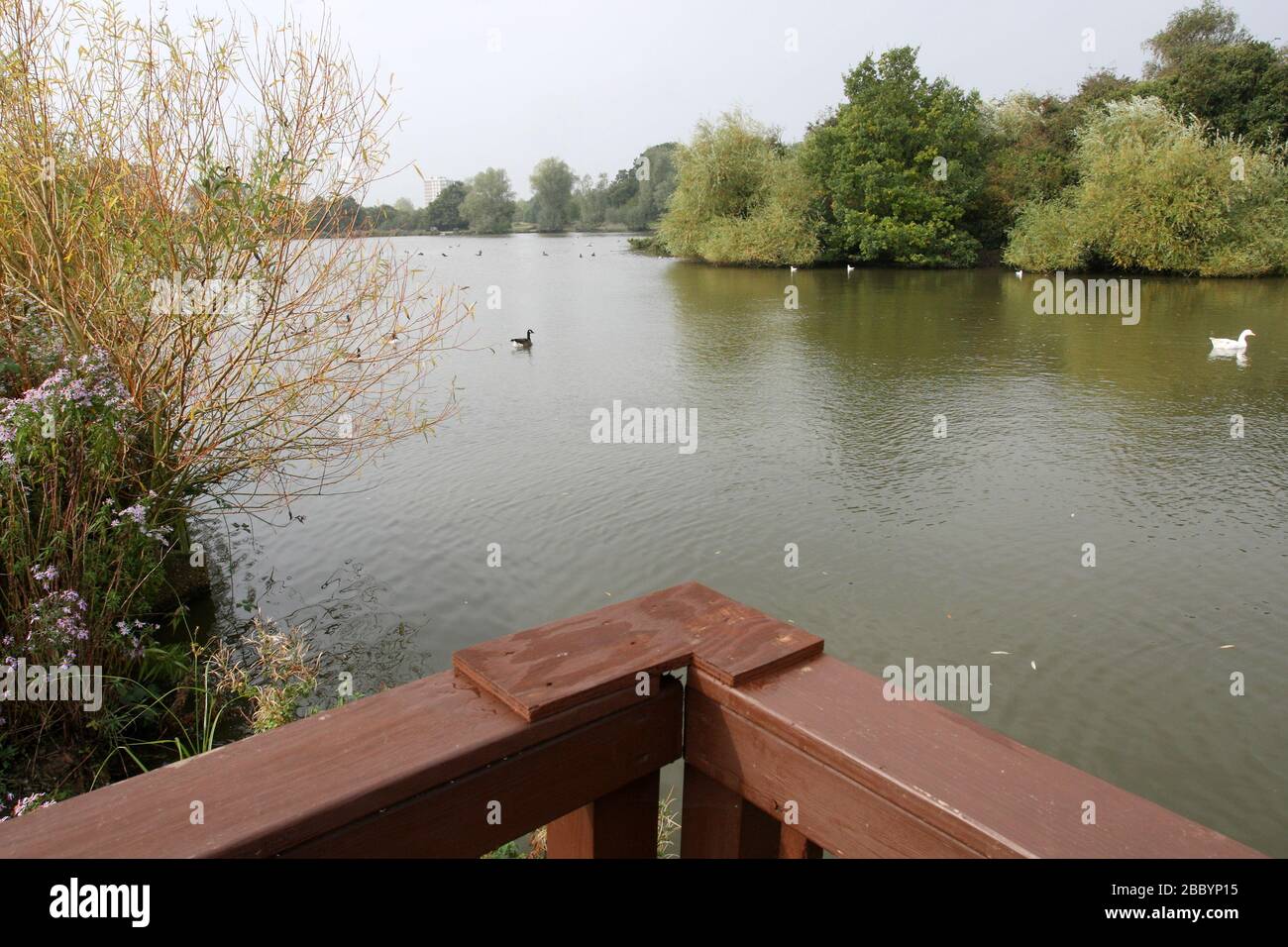 Hainault country park hi-res stock photography and images - Alamy