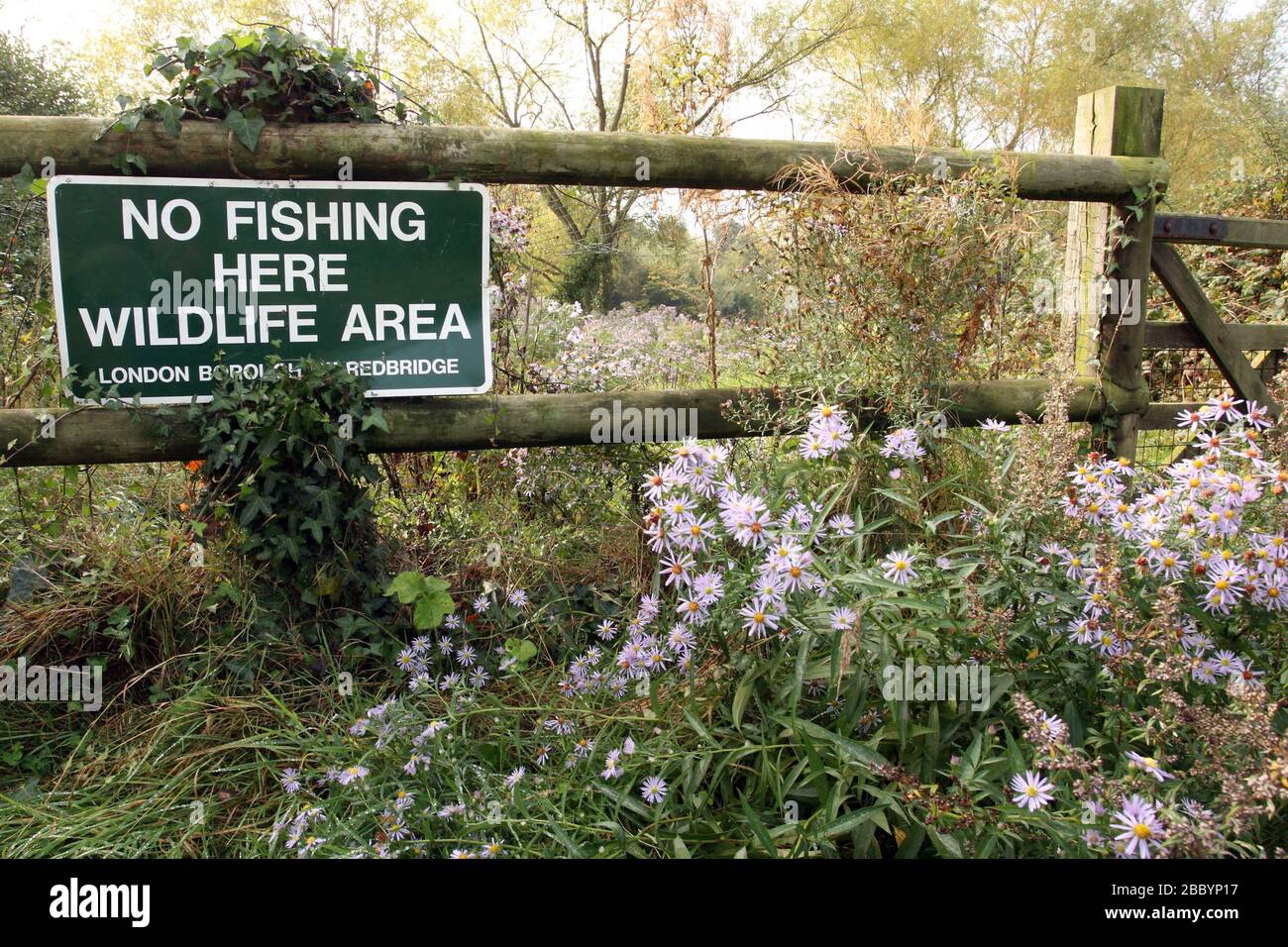 No Fishing Here, Wildlife Area sign. Hainault Forest Country Park ...
