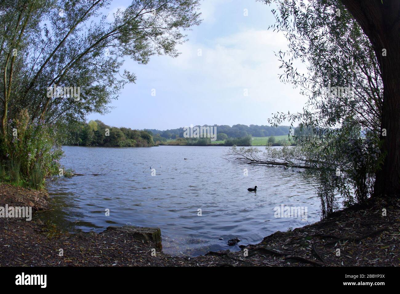 Hainault Country Park High Resolution Stock Photography and Images - Alamy