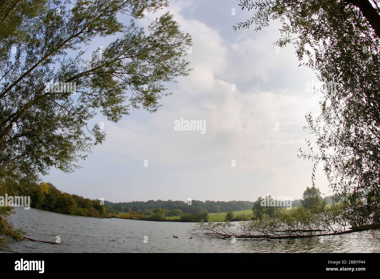 Hainault Country Park High Resolution Stock Photography and Images - Alamy