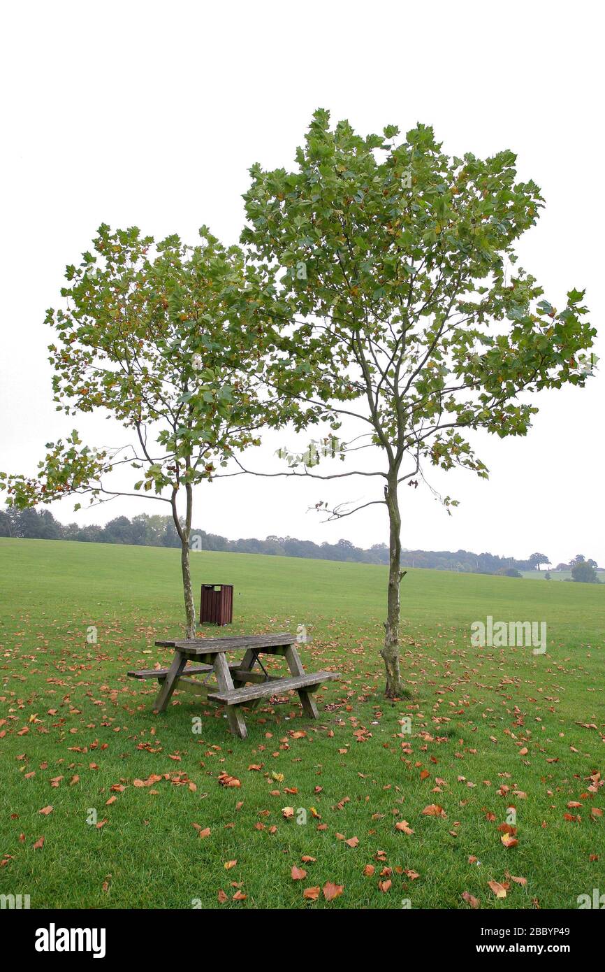 Hainault forest country park hi-res stock photography and images - Alamy