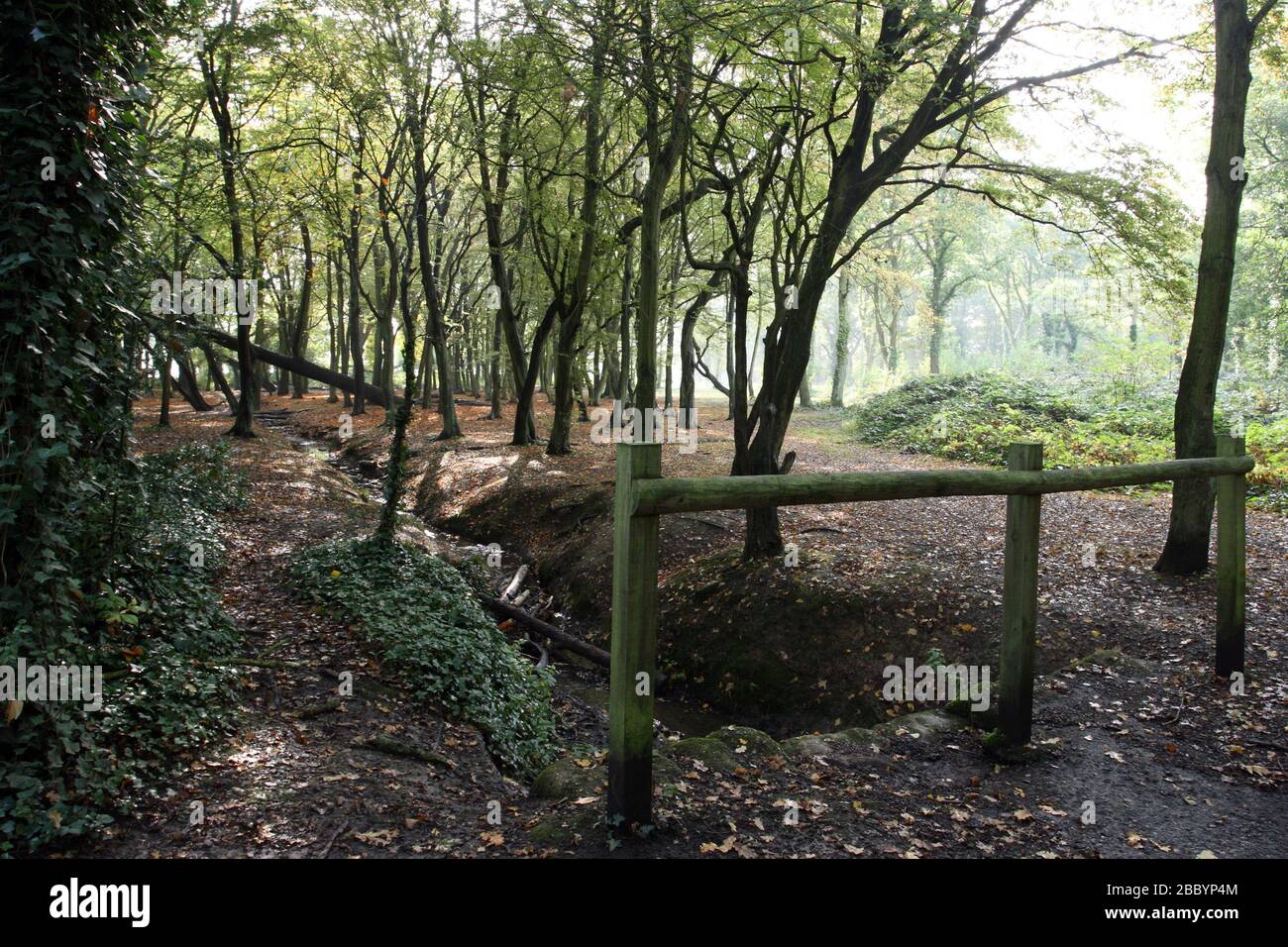 Hainault country park hi-res stock photography and images - Alamy