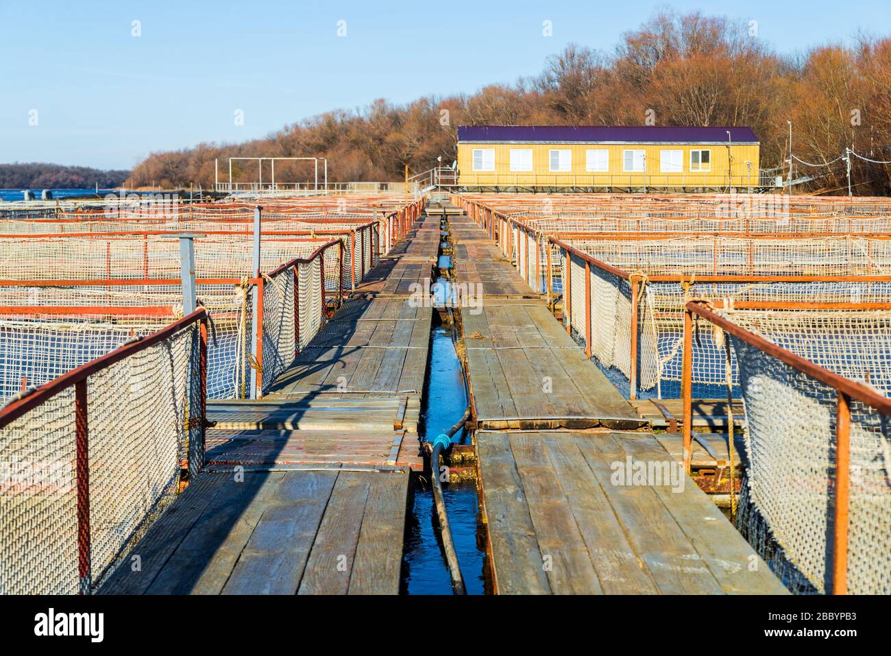 Tanks outdoors of farm for industrial breeding sturgeon fish Stock ...