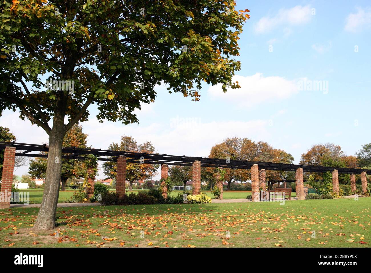 General view of autumn leaves and trees. Clayhall Park, Longwood ...