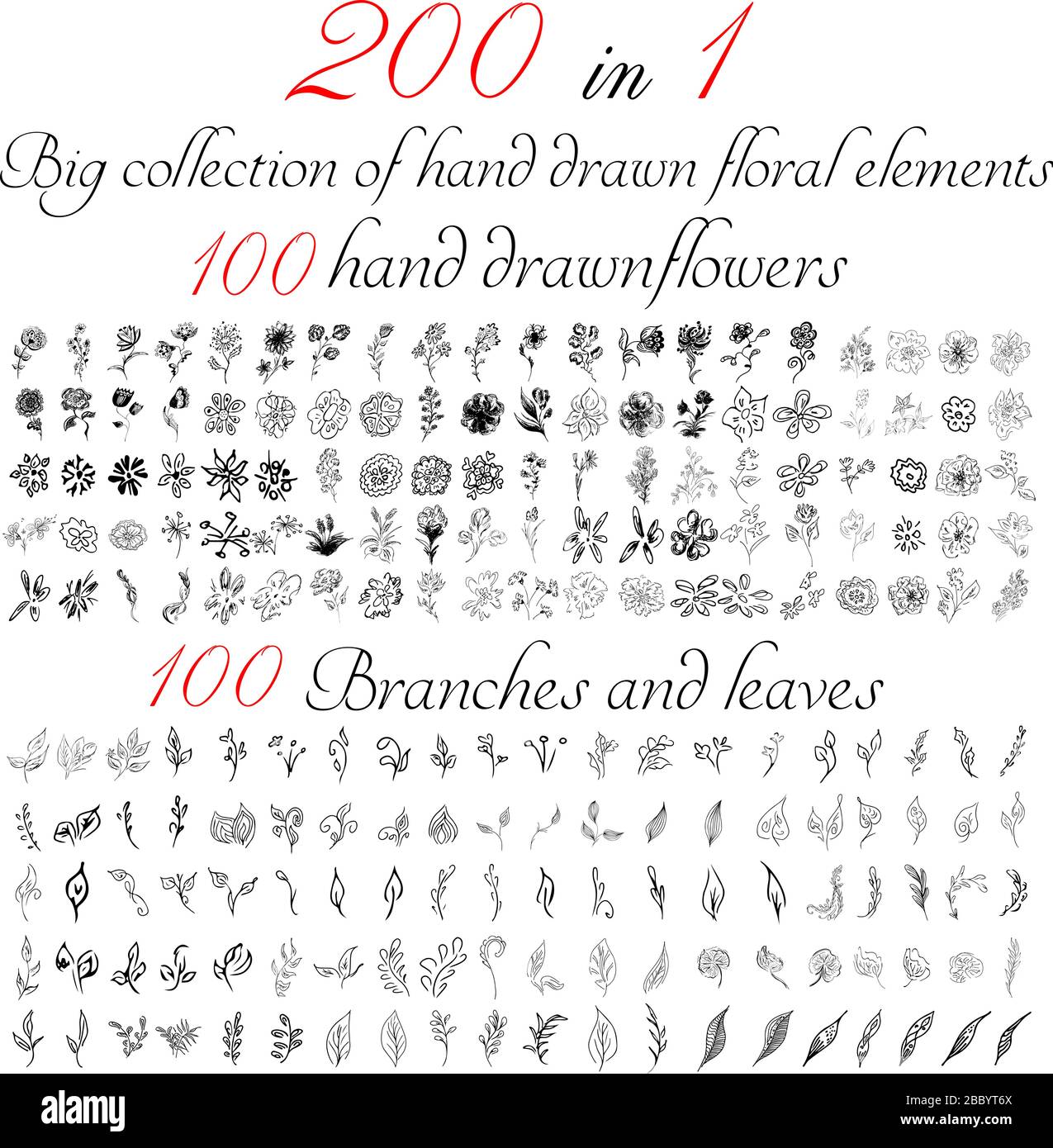 Huge outline collection of 200 hand-drawn floral elements. Big ...