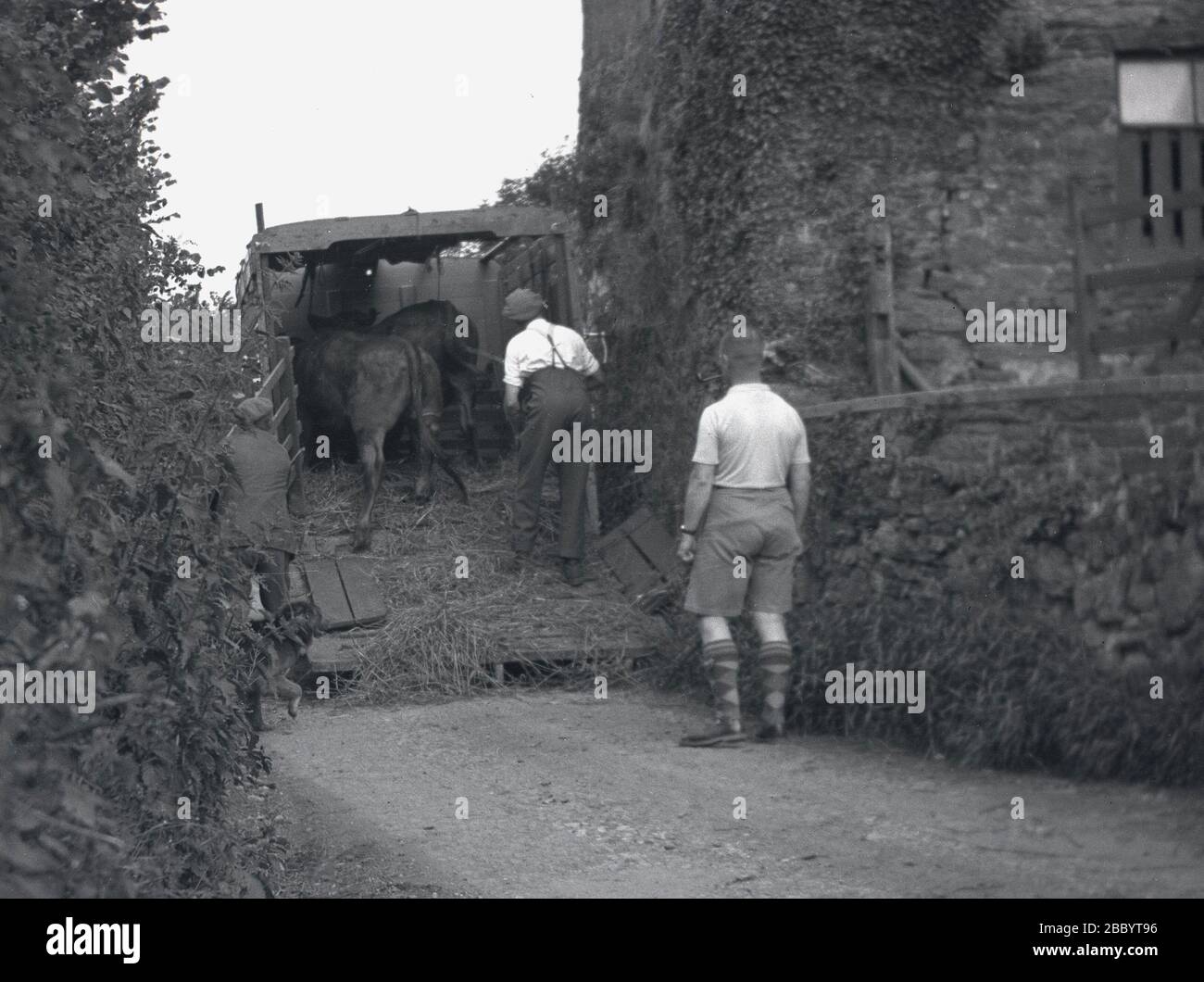 Farm workers england hi-res stock photography and images - Alamy