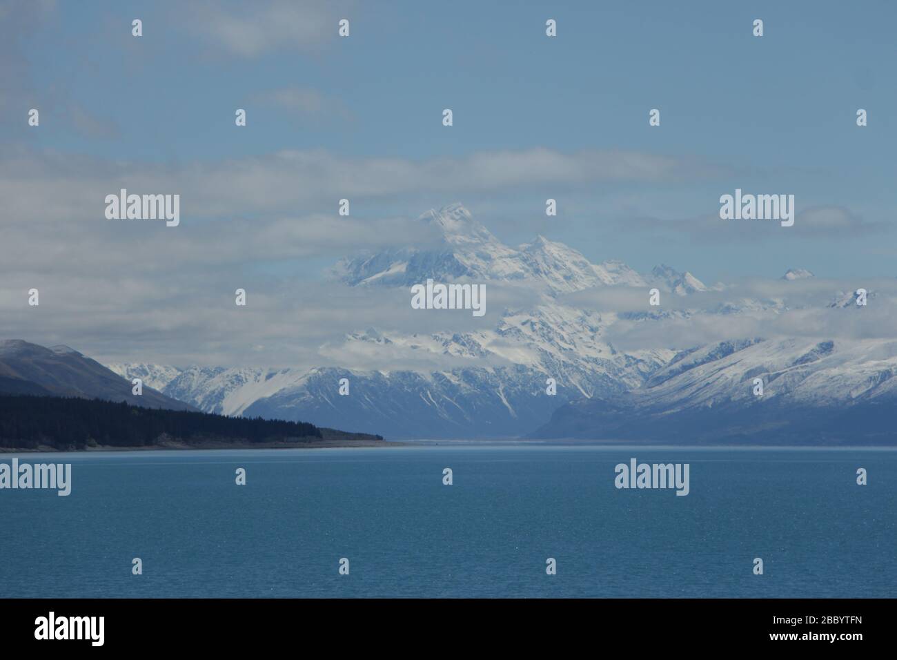 Light spills into frame, illuminating a beautiful branch of leaves on a ...