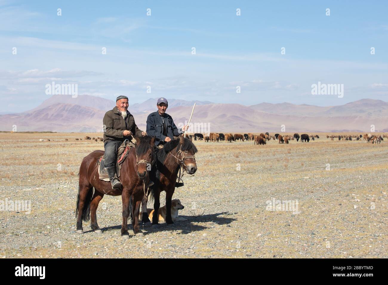 Mongolian sheep dog hi-res stock photography and images - Alamy