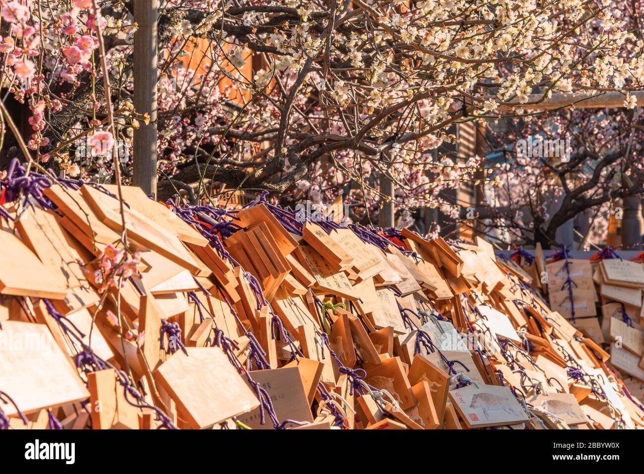 tokyo, japan - march 02 2020: Heap of shinto wooden Ema plaques under ...