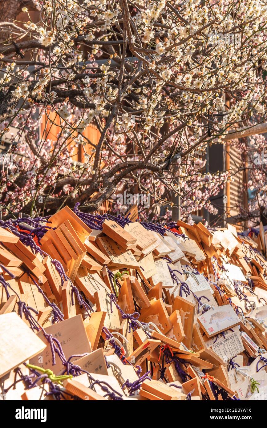 tokyo, japan - march 02 2020: Heap of shinto wooden Ema plaques under ...