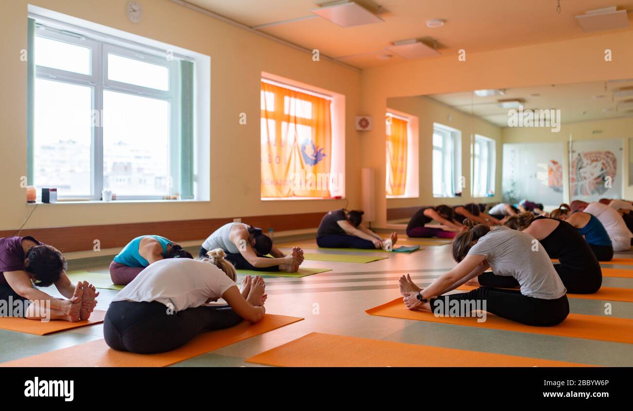 Hatha yoga class in progress Stock Photo - Alamy